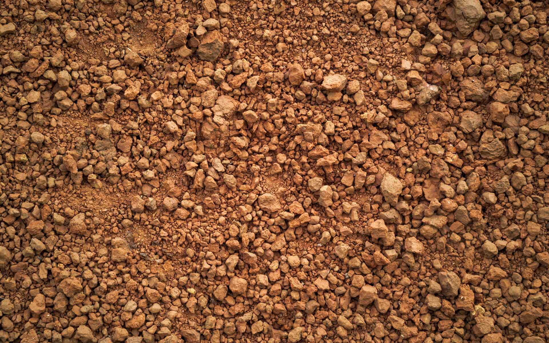 Microlab Laboratories – The fastest growing network of diagnostic ...