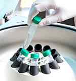 Experience – Microlab Laboratories