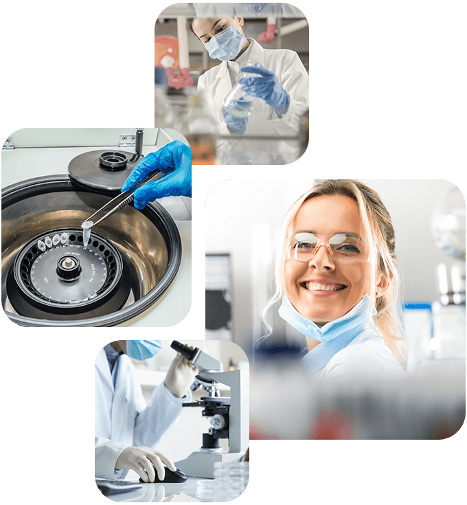 Microlab Laboratories – The fastest growing network of diagnostic ...